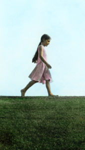 shelley rotner – artist – author – photojournalist